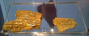 Neolithic Grooved Ware - Roman Alcester Museum